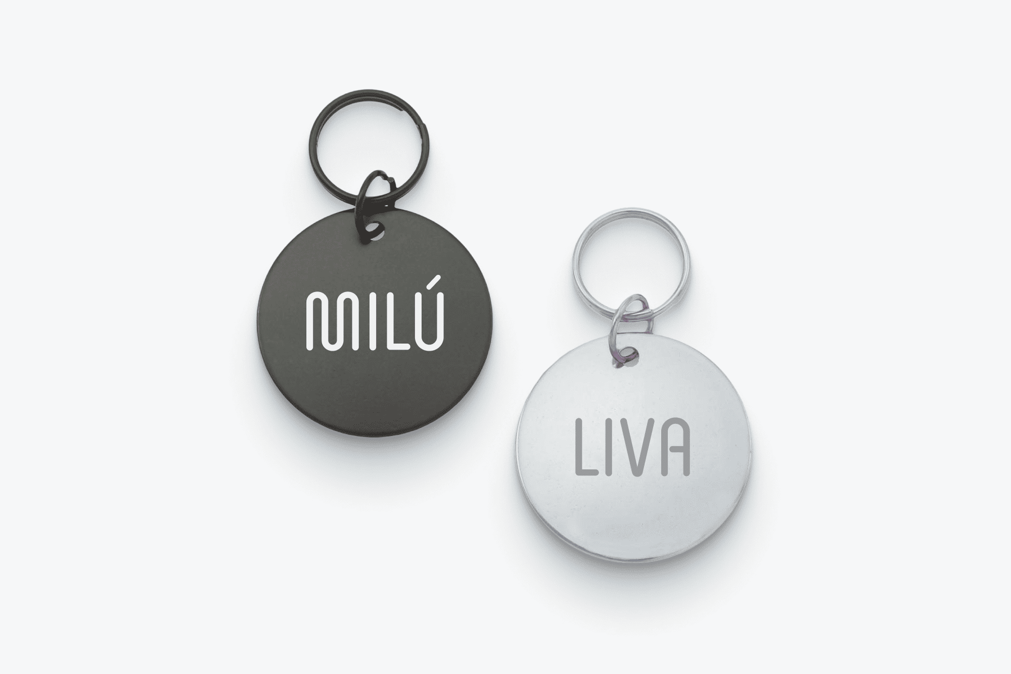 Stainless Steel Dog Tag: Customizable and Durable